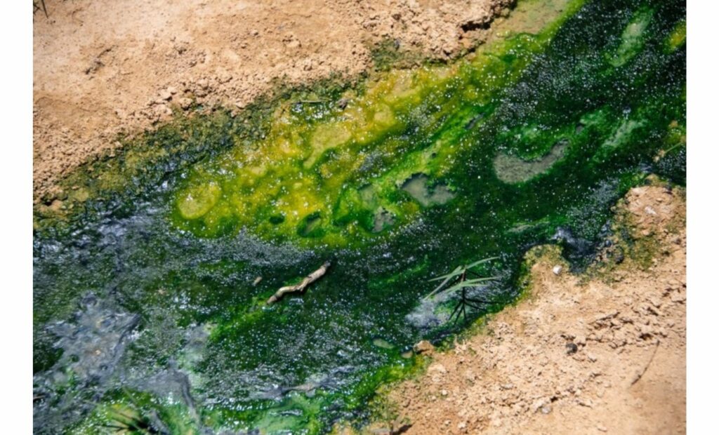 Colony Ridge and the Unprecedented Ecological Disaster it Will Soon ...